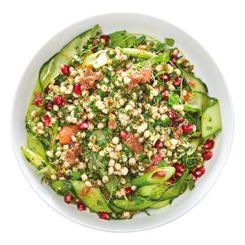 Vegetarian Express | Online Vegan & Vegetarian Food Service Company