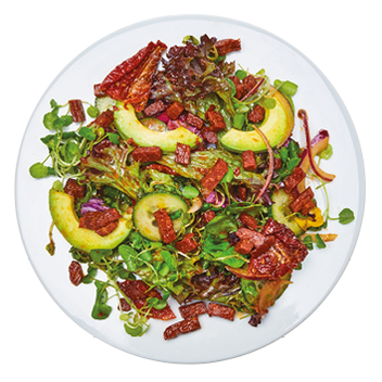 Vegetarian Express | Online Vegan & Vegetarian Food Service Company