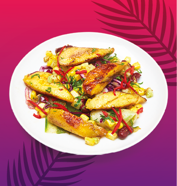 Vegetarian Express | Online Vegan & Vegetarian Food Service Company