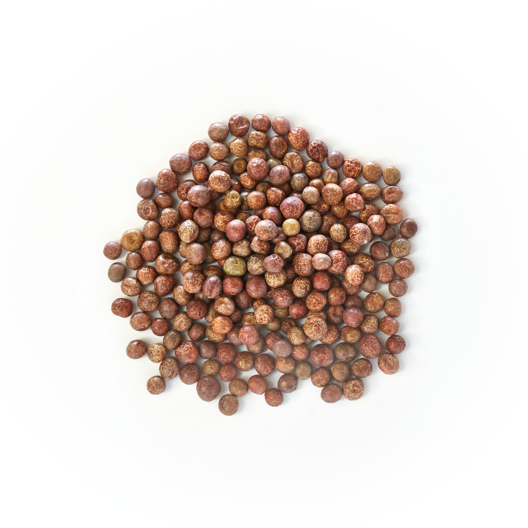 Carlin Peas – Vegetarian Express