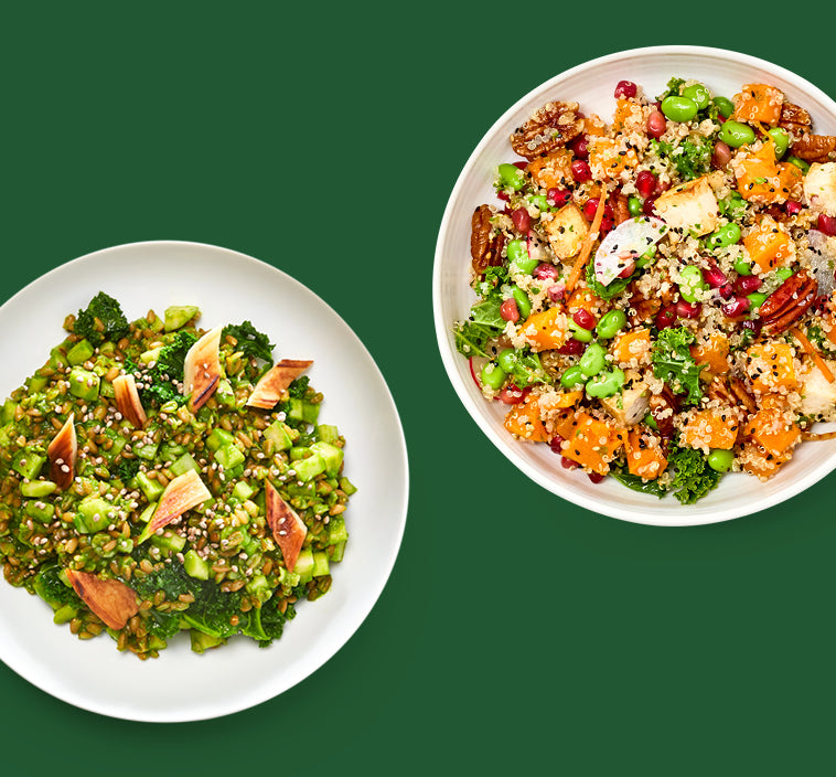 Vegetarian Express | Online Vegan & Vegetarian Food Service Company