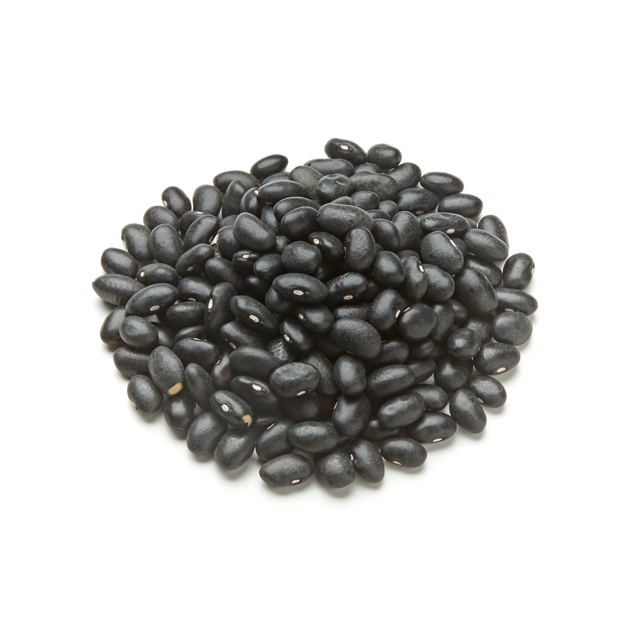 Black Turtle Beans – Vegetarian Express